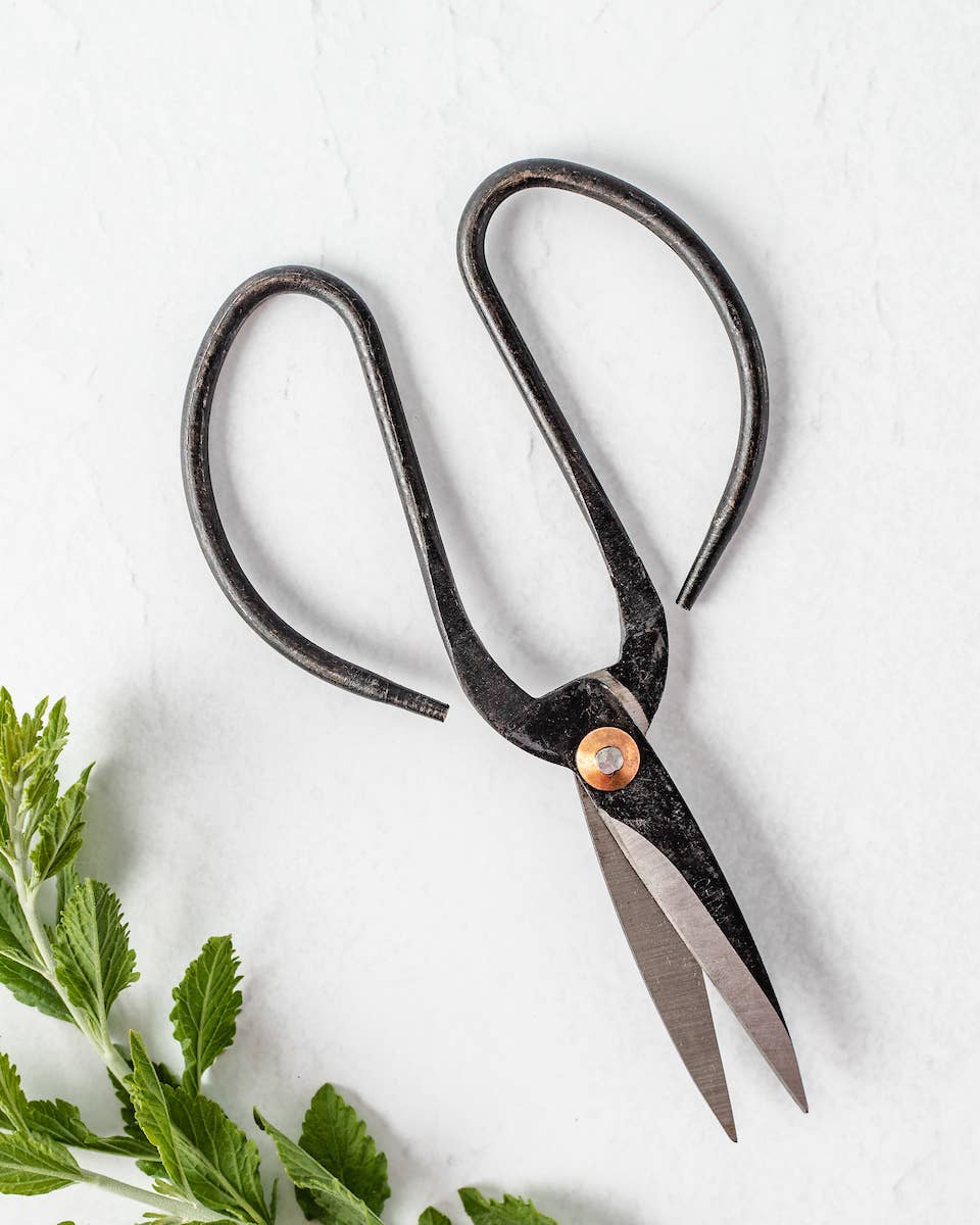 Black Metal Scissors | Vintage Inspired Plant Shears - Little Flower ...