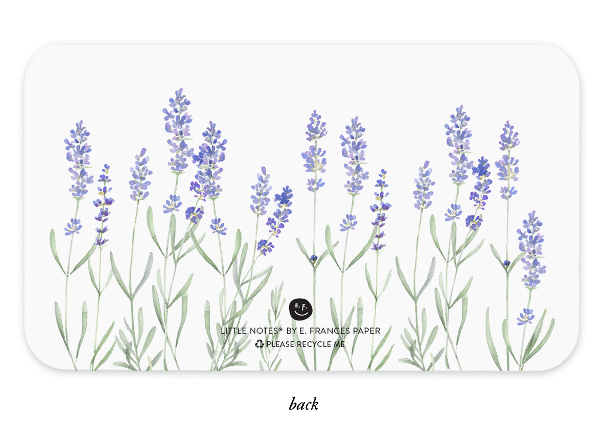 Lavender Little Notes - 85 mini notecards - Little Flower Soap Co blank ...